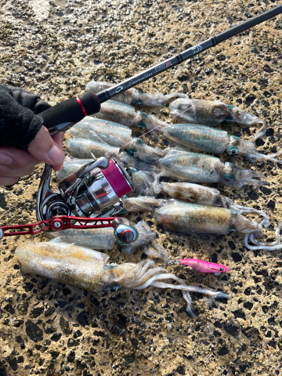 DAIWA 22イグジスト LT2500S-Hの最安値・インプレ・釣果 | 本音 DAIWA 22イグジスト LT2500S-Hの最安値・インプレ・釣果 | 本音