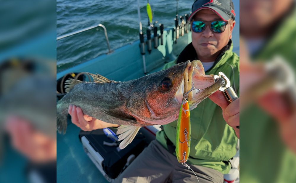 Rabbit Ripple（ラビットリップル）フィッシングガイドサービス 【仕立て】ロングプラン（10時間） - アングラーズ釣船予約