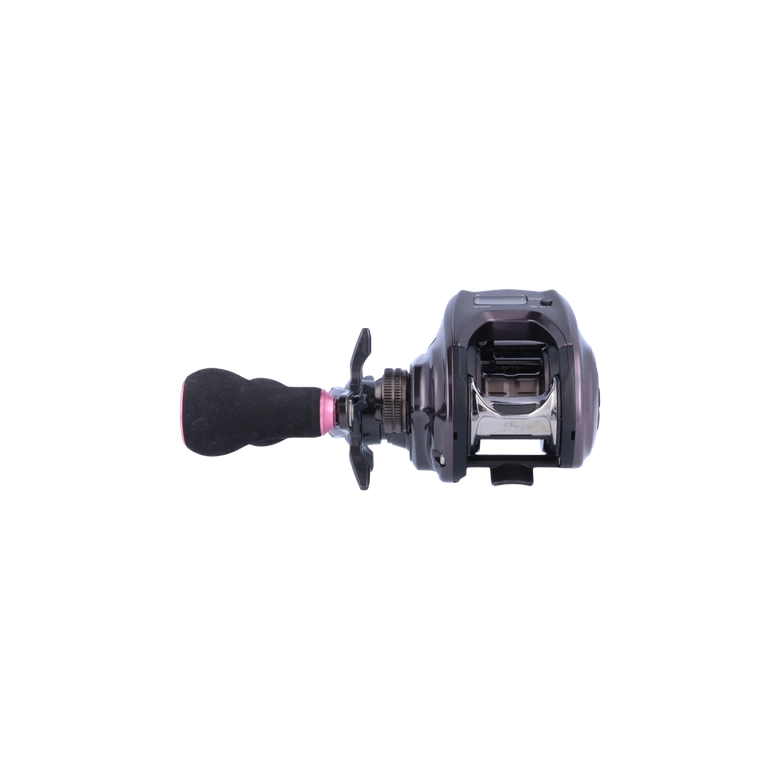 DAIWA 21紅牙 IC 150Pの最安値・インプレ・釣果 | 本音の口コミ DAIWA 21紅牙 IC 150Pの最安値・インプレ・釣果 | 本音の口コミ
